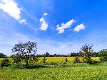 Warwick - BBC Weather
