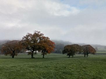 Leyland - BBC Weather