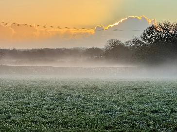 Andover - BBC Weather