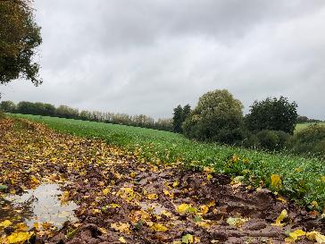 Exeter - BBC Weather