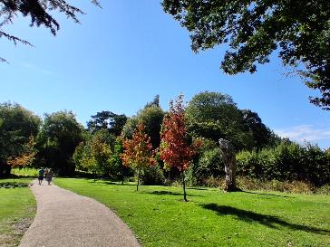 Wingham - BBC Weather