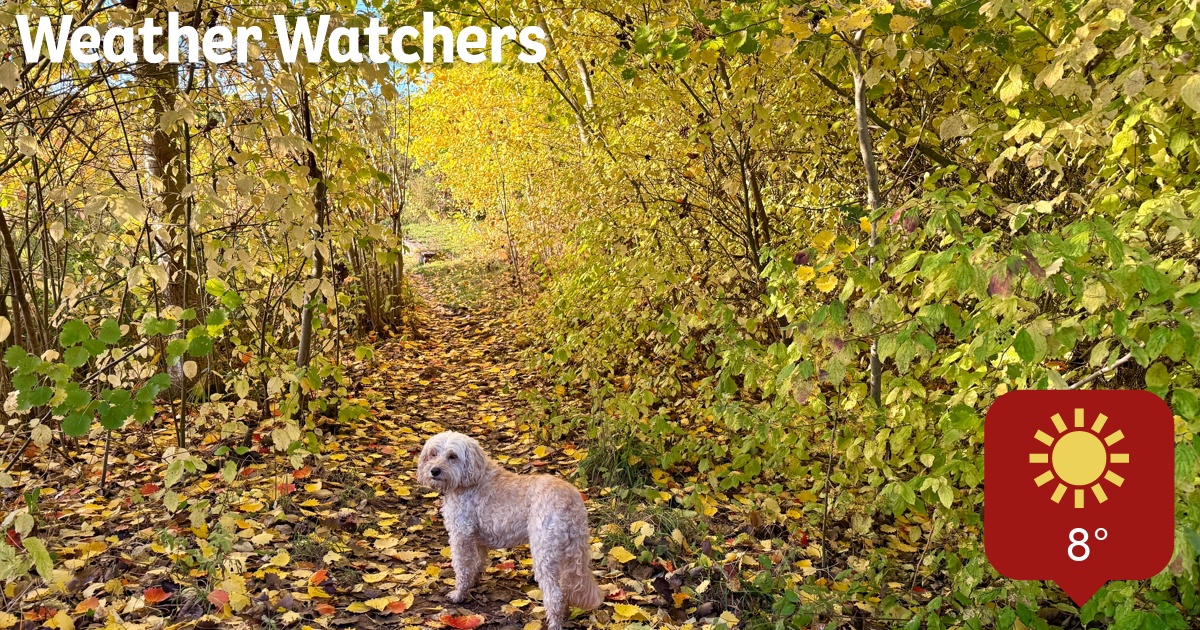 Report - BBC Weather Watchers