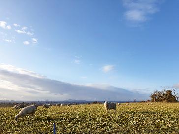 Lichfield - BBC Weather