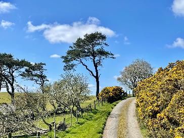 Denbigh - BBC Weather