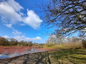 Oswestry - BBC Weather