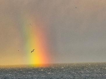 Lerwick - BBC Weather