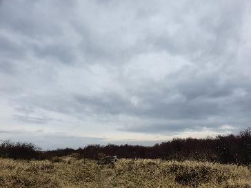 Warrington - BBC Weather