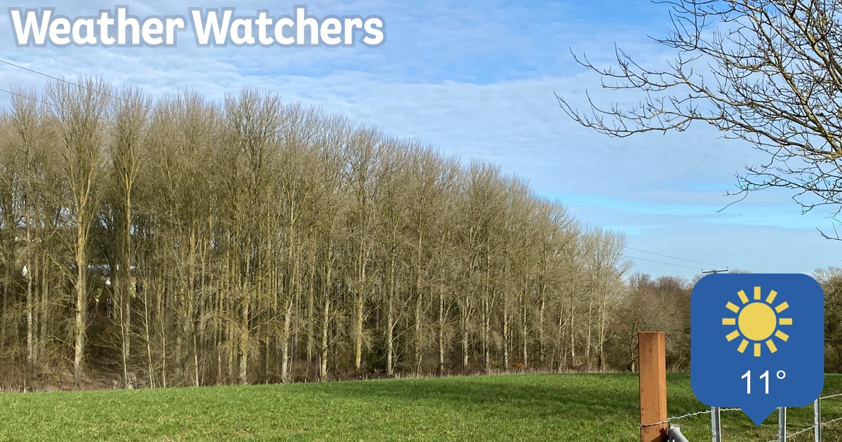 Report - BBC Weather Watchers