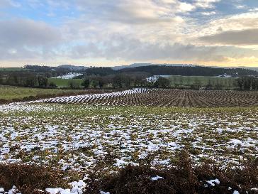 Solihull - BBC Weather