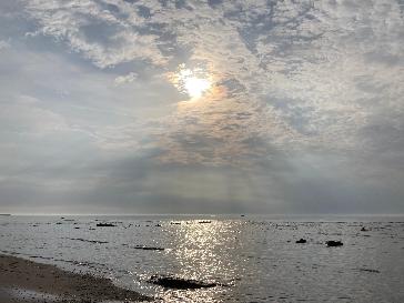 Montrose - BBC Weather