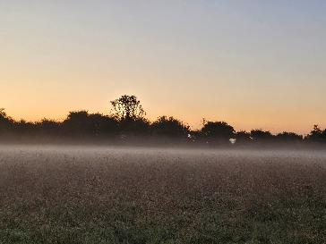 Burton - BBC Weather