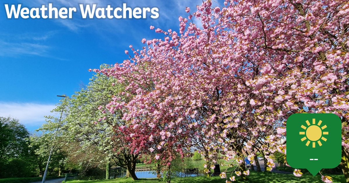 Report - BBC Weather Watchers