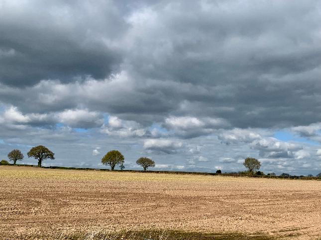 Report - BBC Weather Watchers