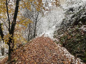 Redditch - BBC Weather