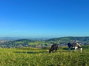 Swindon Village - BBC Weather