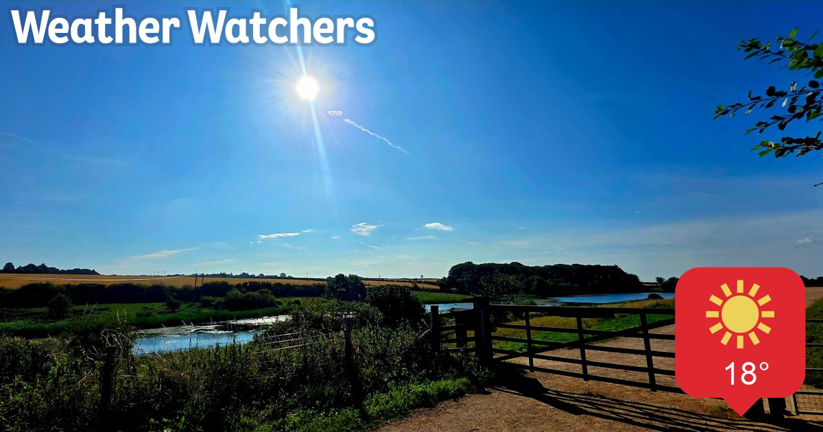 Report - BBC Weather Watchers