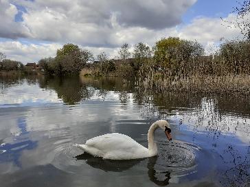 Basingstoke - BBC Weather