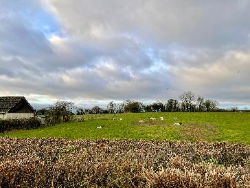 Banwell Castle - BBC Weather