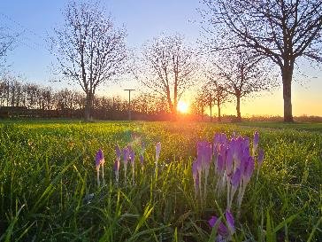Bingley - BBC Weather