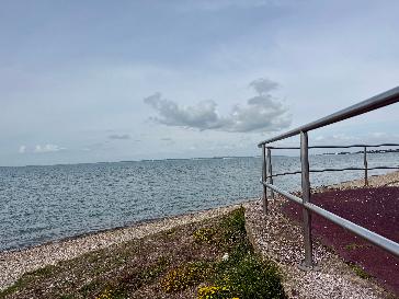 Basingstoke - BBC Weather