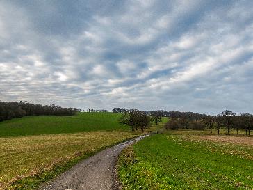 Rotherham - BBC Weather