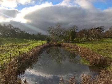Ipswich - BBC Weather