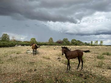 Coventry - BBC Weather