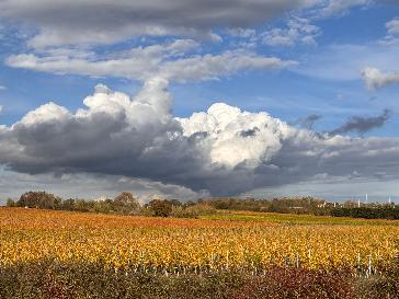 Colchester - BBC Weather