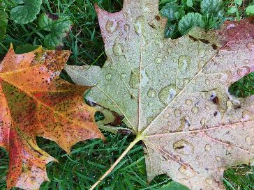 Bedford - BBC Weather