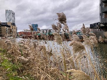 Harrow - BBC Weather