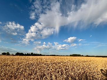 Haverhill - BBC Weather