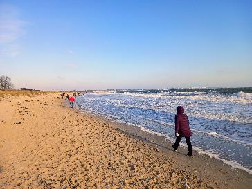 Ringwood - BBC Weather