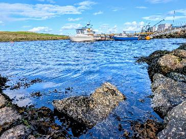 Lerwick - BBC Weather