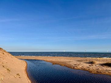 Lerwick - BBC Weather