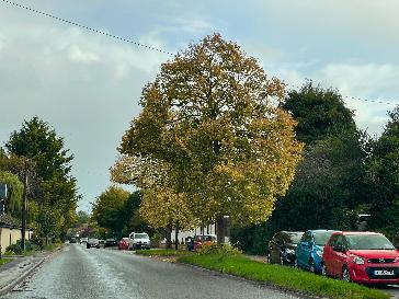 Devizes - BBC Weather