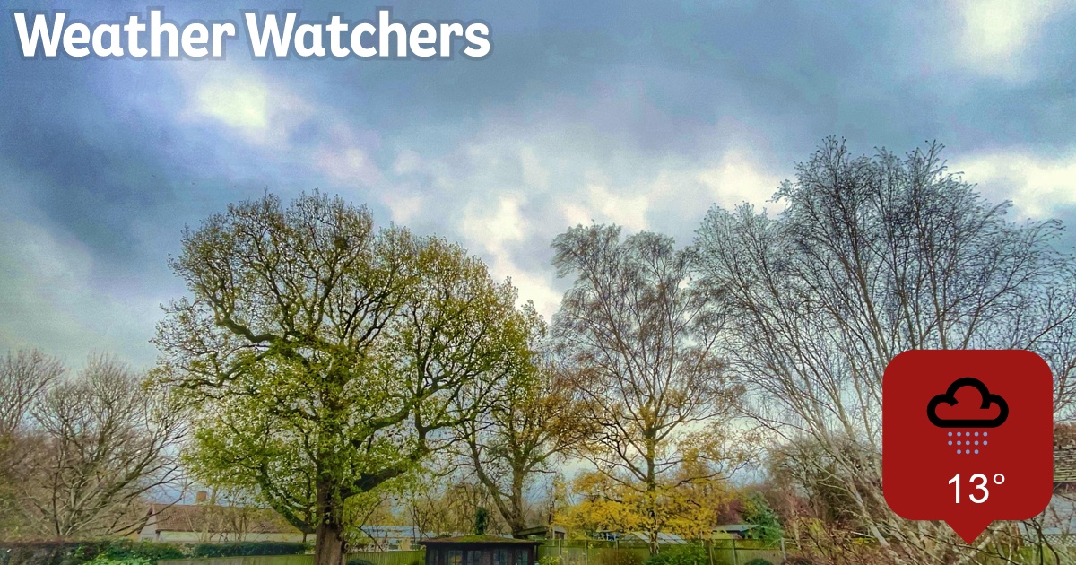 Report - BBC Weather Watchers