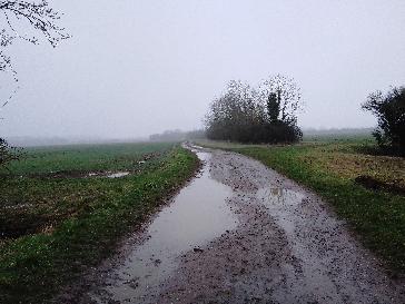 Watford - BBC Weather