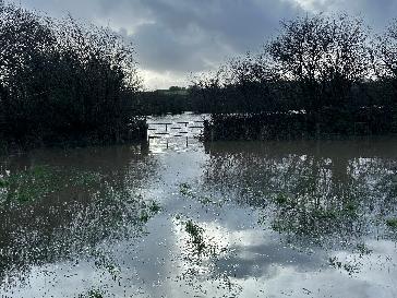Exeter Airport - BBC Weather