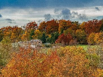 Congleton - BBC Weather