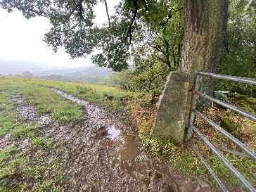 Belper - BBC Weather
