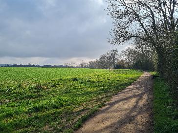 Caterham - BBC Weather