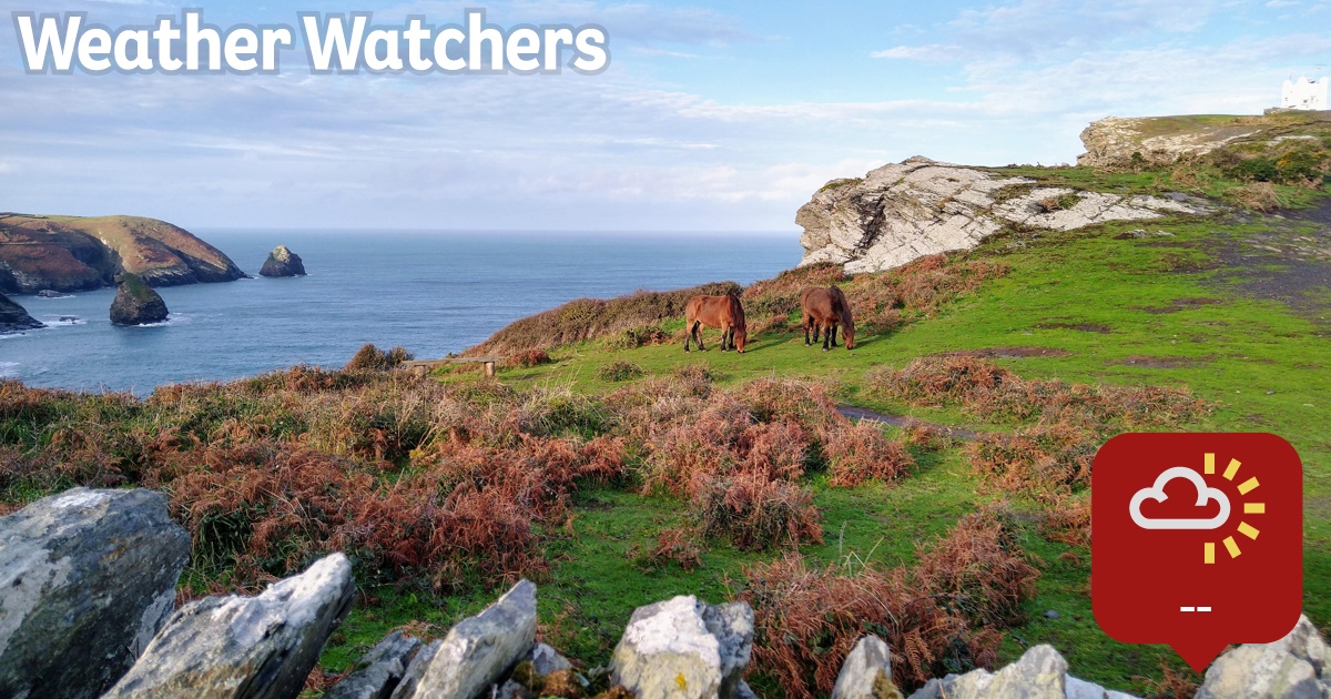 Report - BBC Weather Watchers
