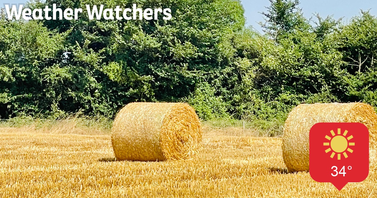 Report - BBC Weather Watchers