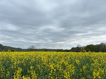 Cardiff Airport - BBC Weather