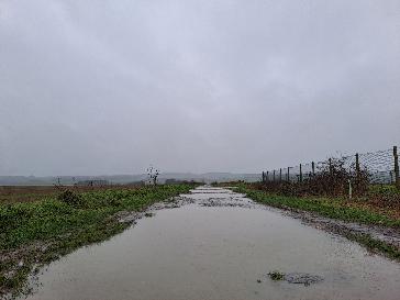 Newbury - BBC Weather