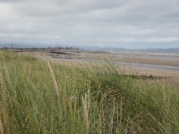 Denbigh - BBC Weather