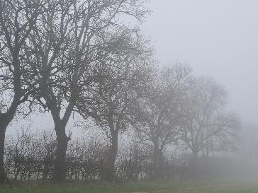 Trowbridge - BBC Weather