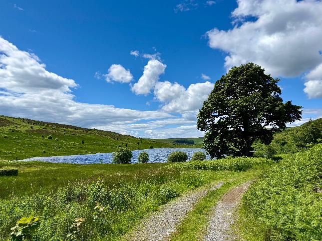 Report - BBC Weather Watchers