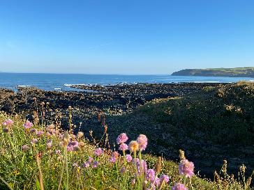 Exeter - BBC Weather