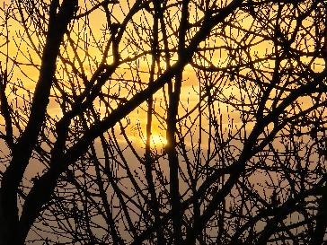 Woking - BBC Weather